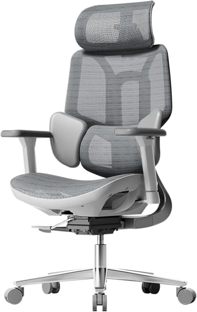 Hbada E3 Air Ergonomic Office Chair with Dynamic Lumbar Support(Gray ...